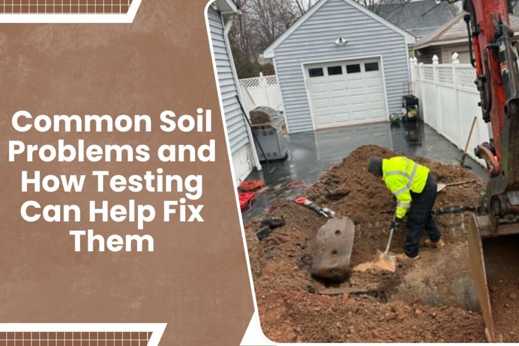 Common Soil Problems and How Testing Can Help Fix Them | Simple Tank ...