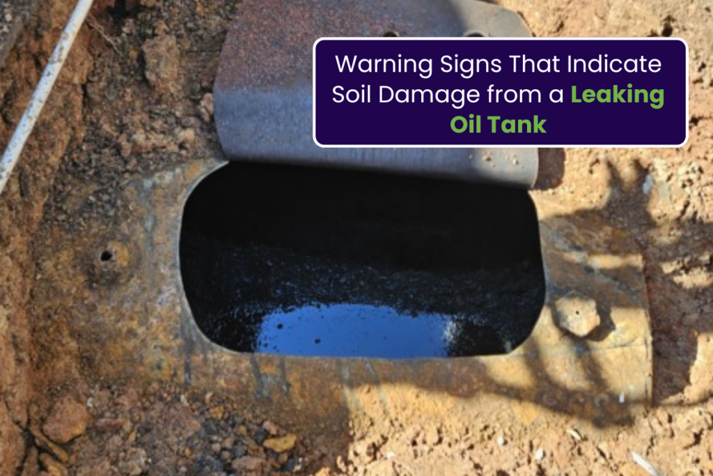 Warning Signs That Indicate Soil Damage from a Leaking Oil Tank