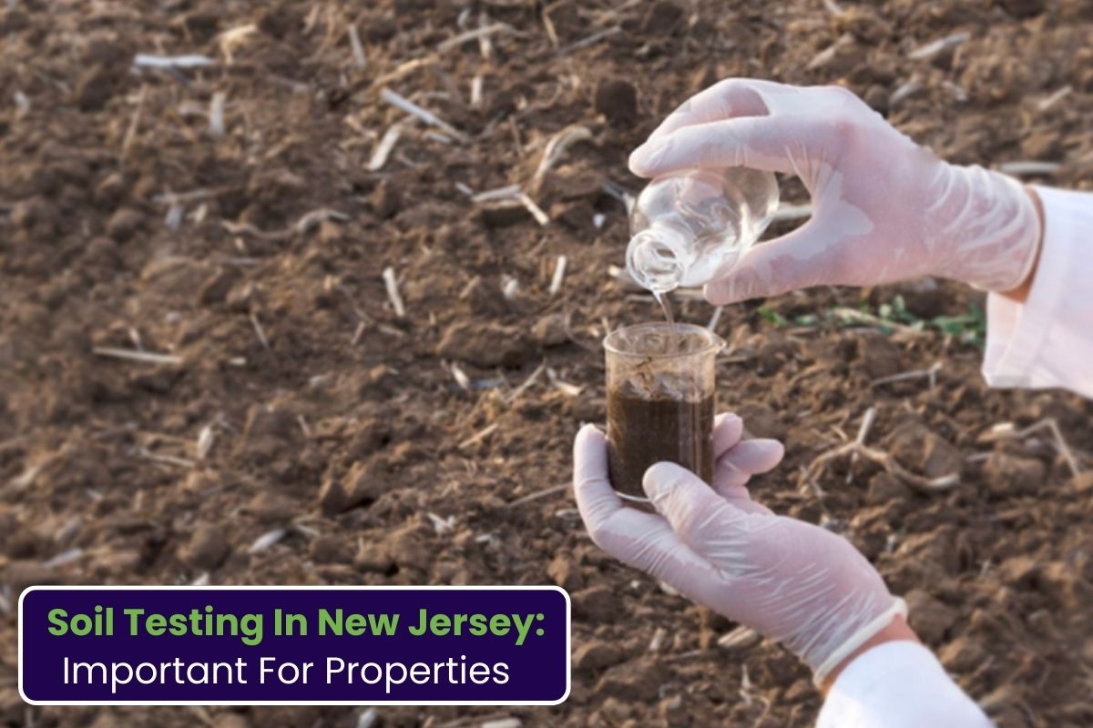 Soil Testing in New Jersey: Why It Matters for Your Property